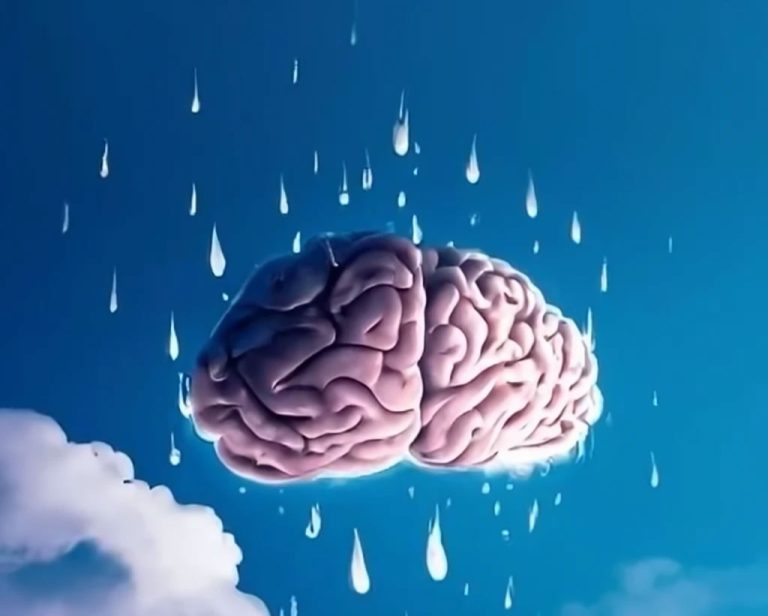 Brain Rain Indoor Gallery – Innovaspark.in